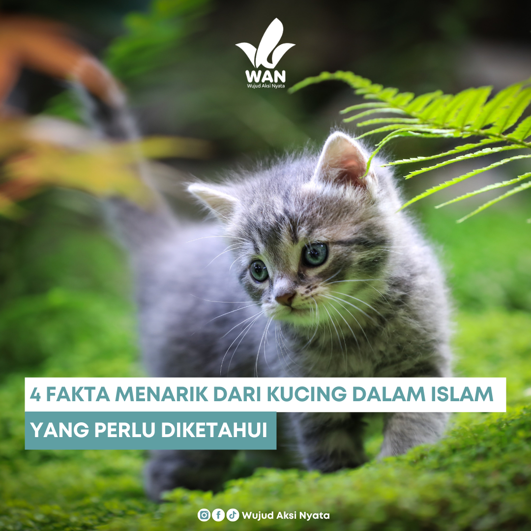 4 Fakta Menarik Dari Kucing Dalam Islam yang Perlu Diketahui - Wujud ...